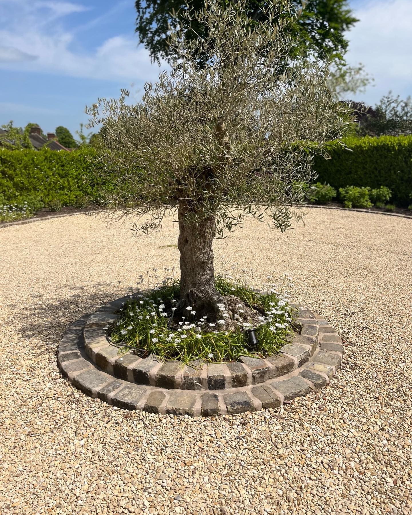 Garden Design Alderley Edge | Acorn Landscape Services | Call Us